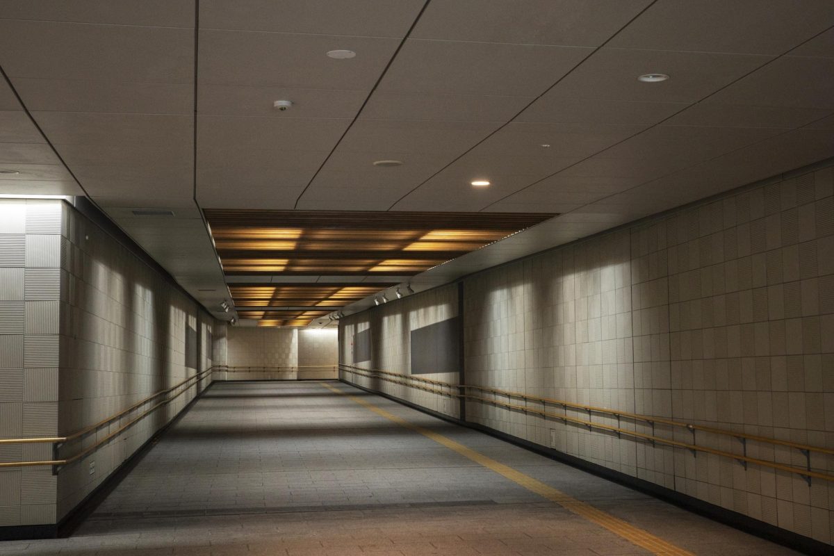 False Ceiling - Dreamlinedecor